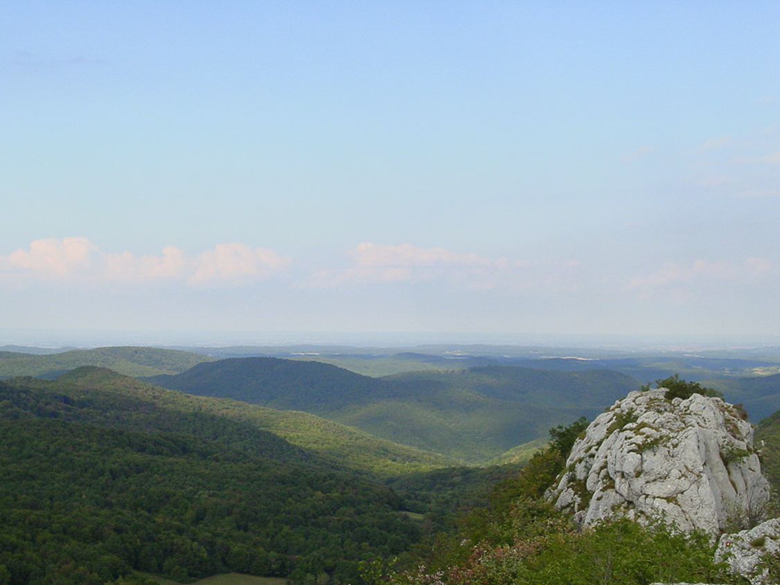 Mali Kalnik – posebni botanički rezervat - Podravina & Prigorje Bike